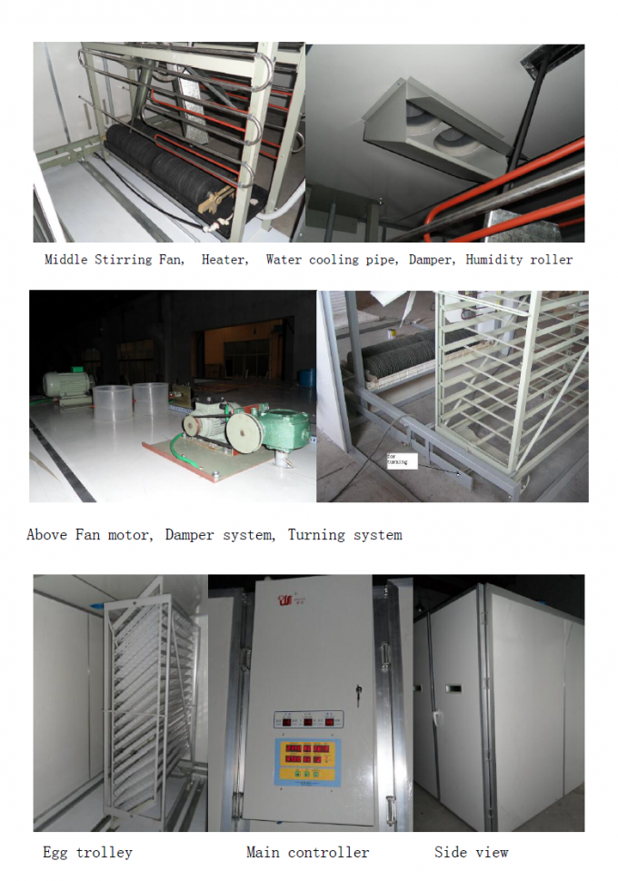 Cabinet Single Stage Incubator Setter And Hatcher 10000 Eggs Capacity