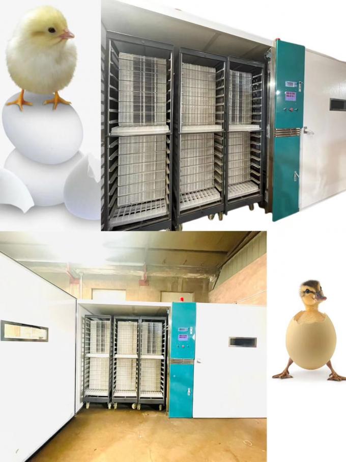 Hatching Rate 98% Large Scale Automatic Chicken Egg Incubator 19200